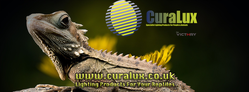 Curalux Reptile Light & Heat Products - curalux.co.uk